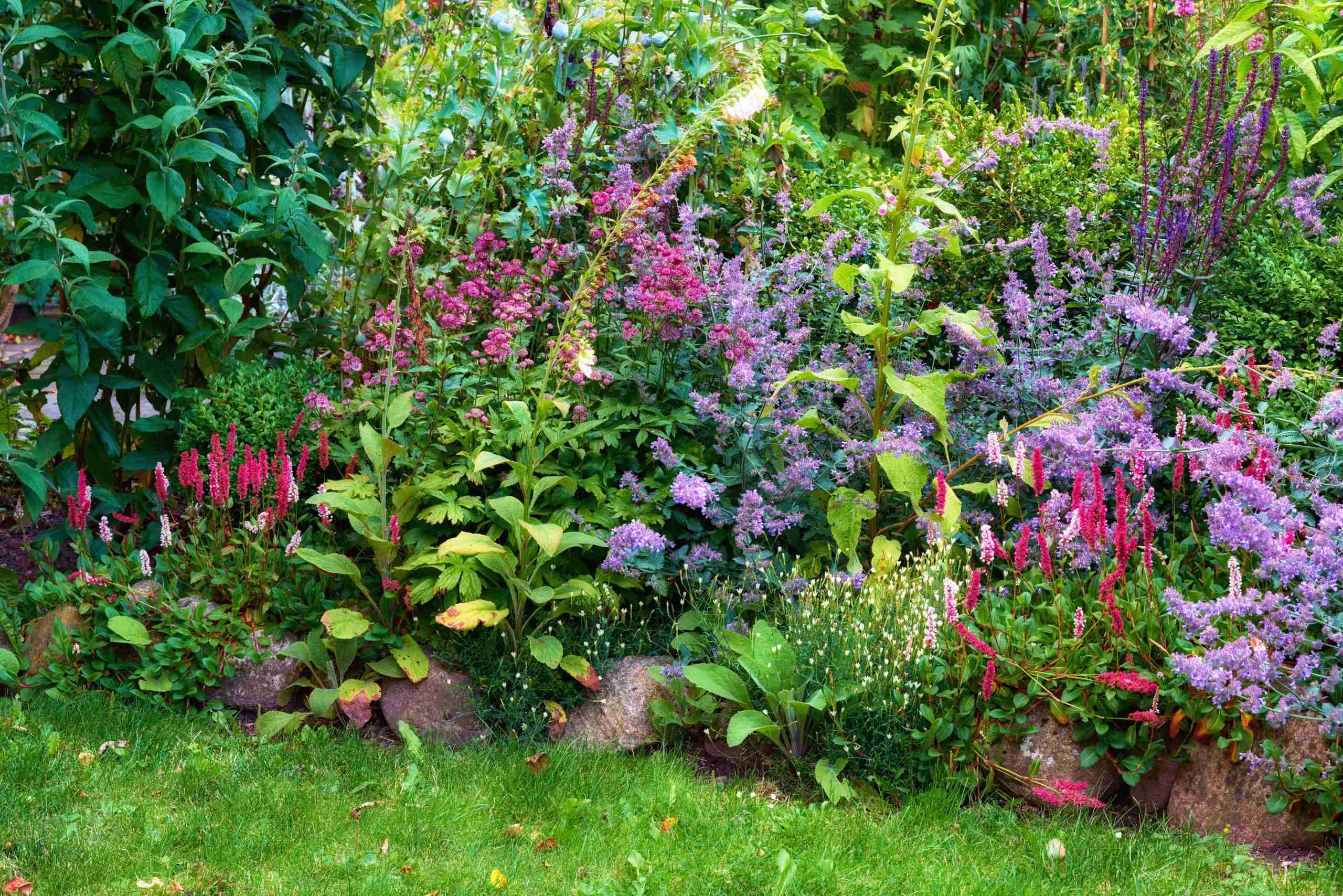 7 of Our Favorite May Flowering Plants and Shrubs